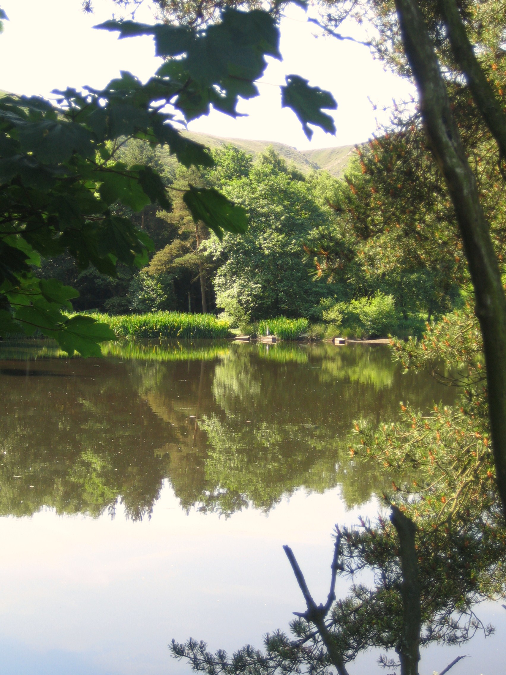 Sunday morning walk in pictures – Clinical Alimentary